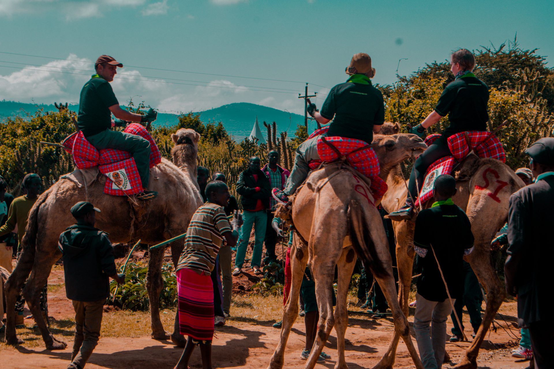 Your Ultimate Guide To The Maralal International Camel Derby – Just Rioba