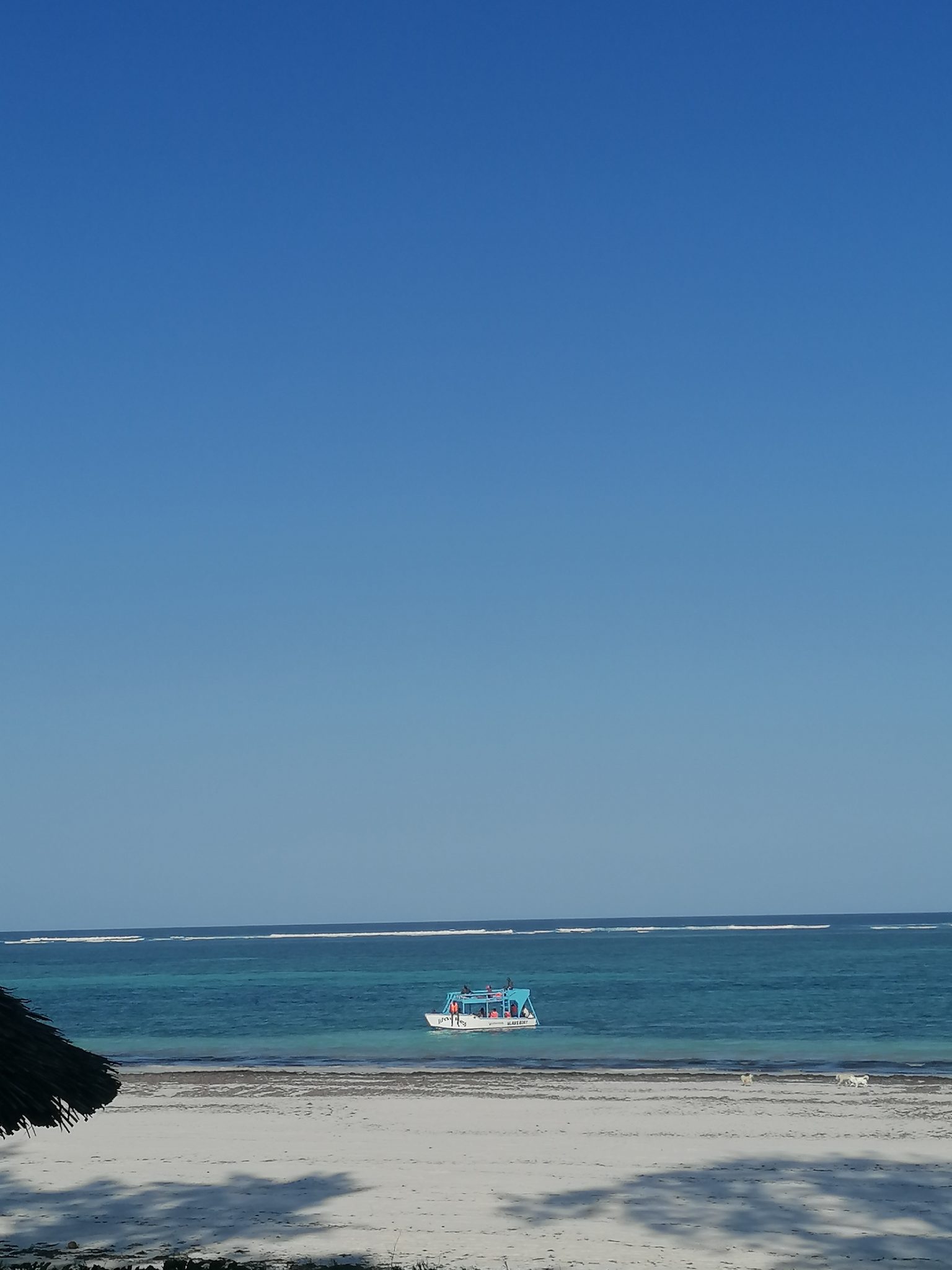 10 Awesome Things To Do In Diani, Ukunda – Just Rioba